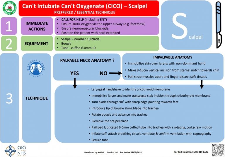 AWAG CICO Infographic – All Wales Airway Group